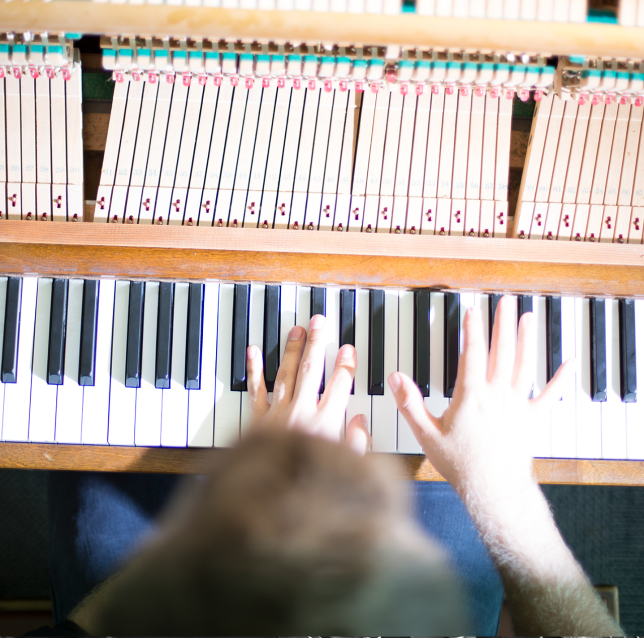 dan thorpe 2 | CutCommon