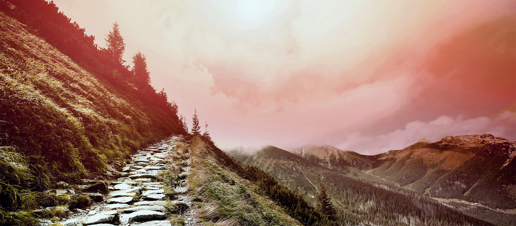 Pilgrimage-banner-sml | CutCommon