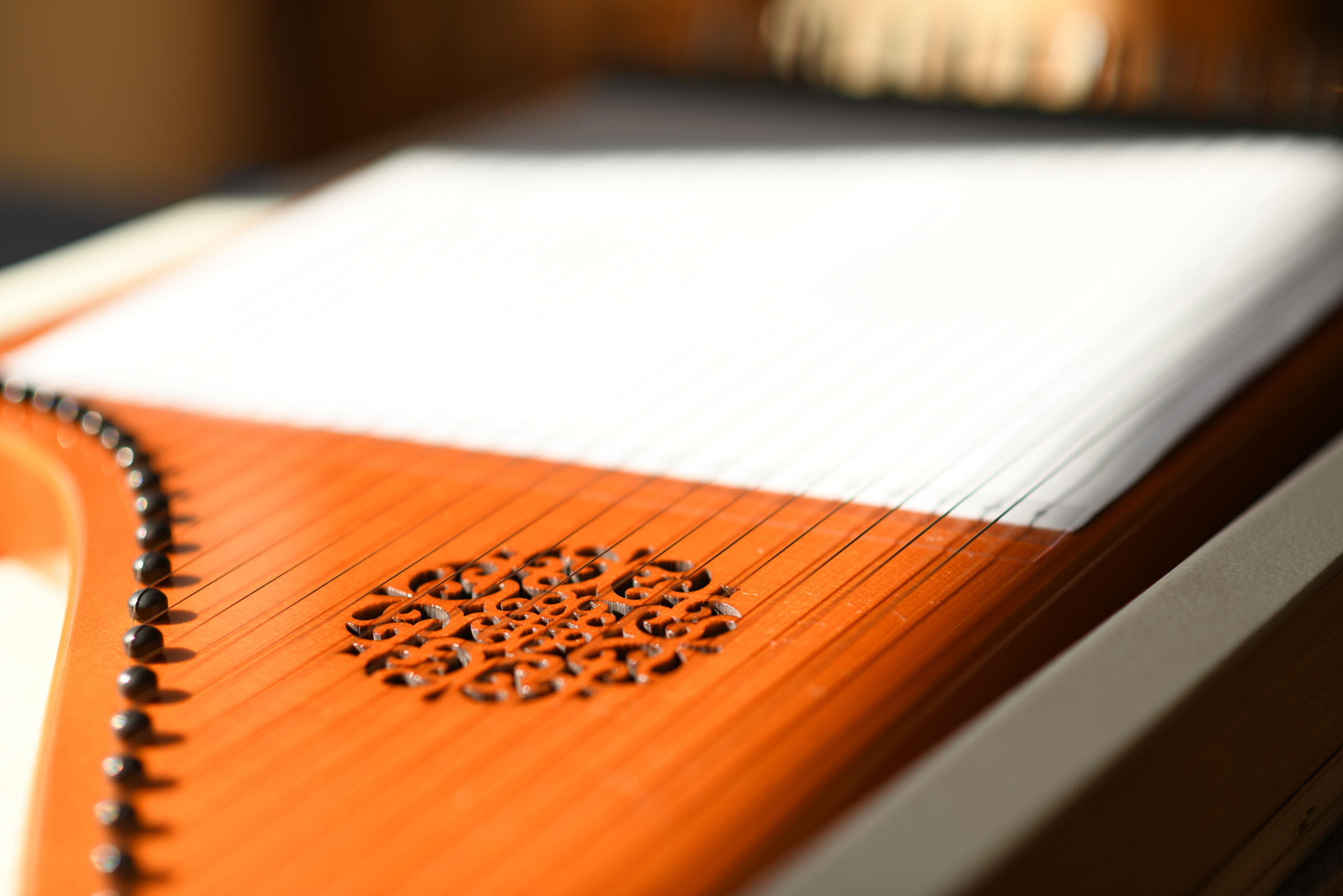 DSC_2718 | CutCommon